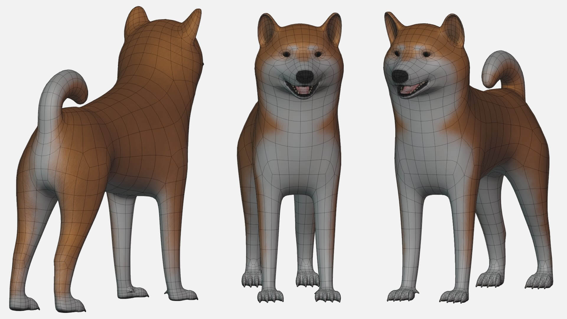 Shiba Inu Dog - 3D Model by 3dbowl