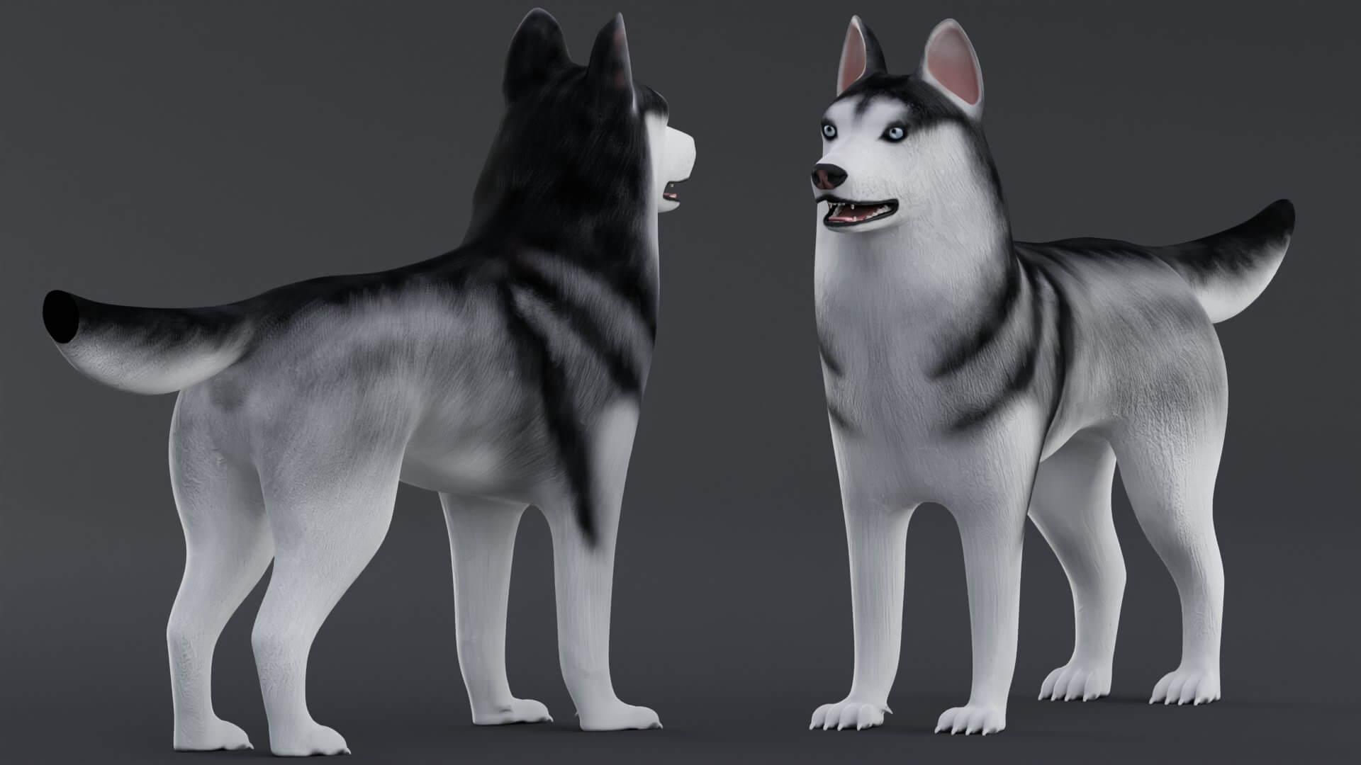Siberian Husky Dog - 3D Model by 3dbowl