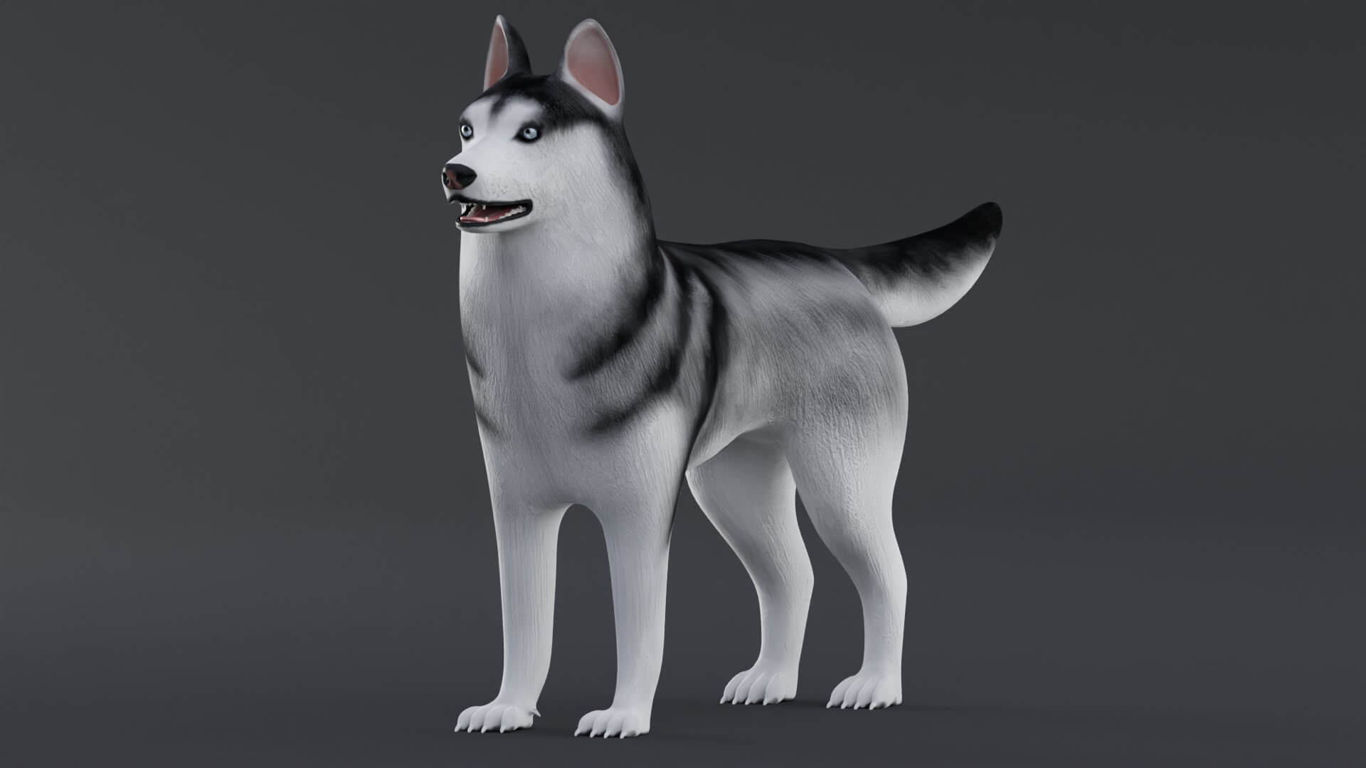 Siberian Husky Dog - 3D Model by 3dbowl