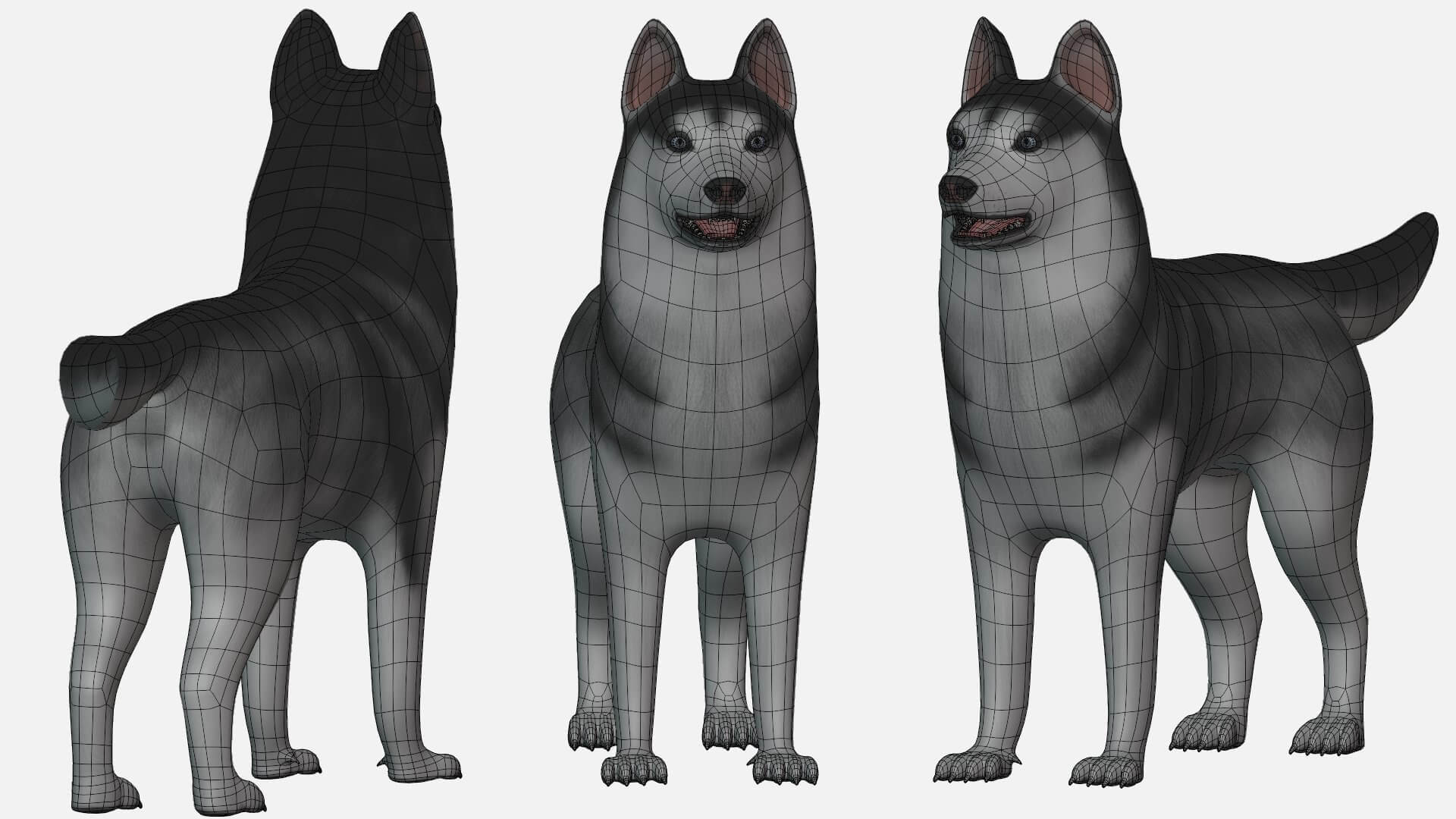 Siberian Husky Dog - 3D Model by 3dbowl