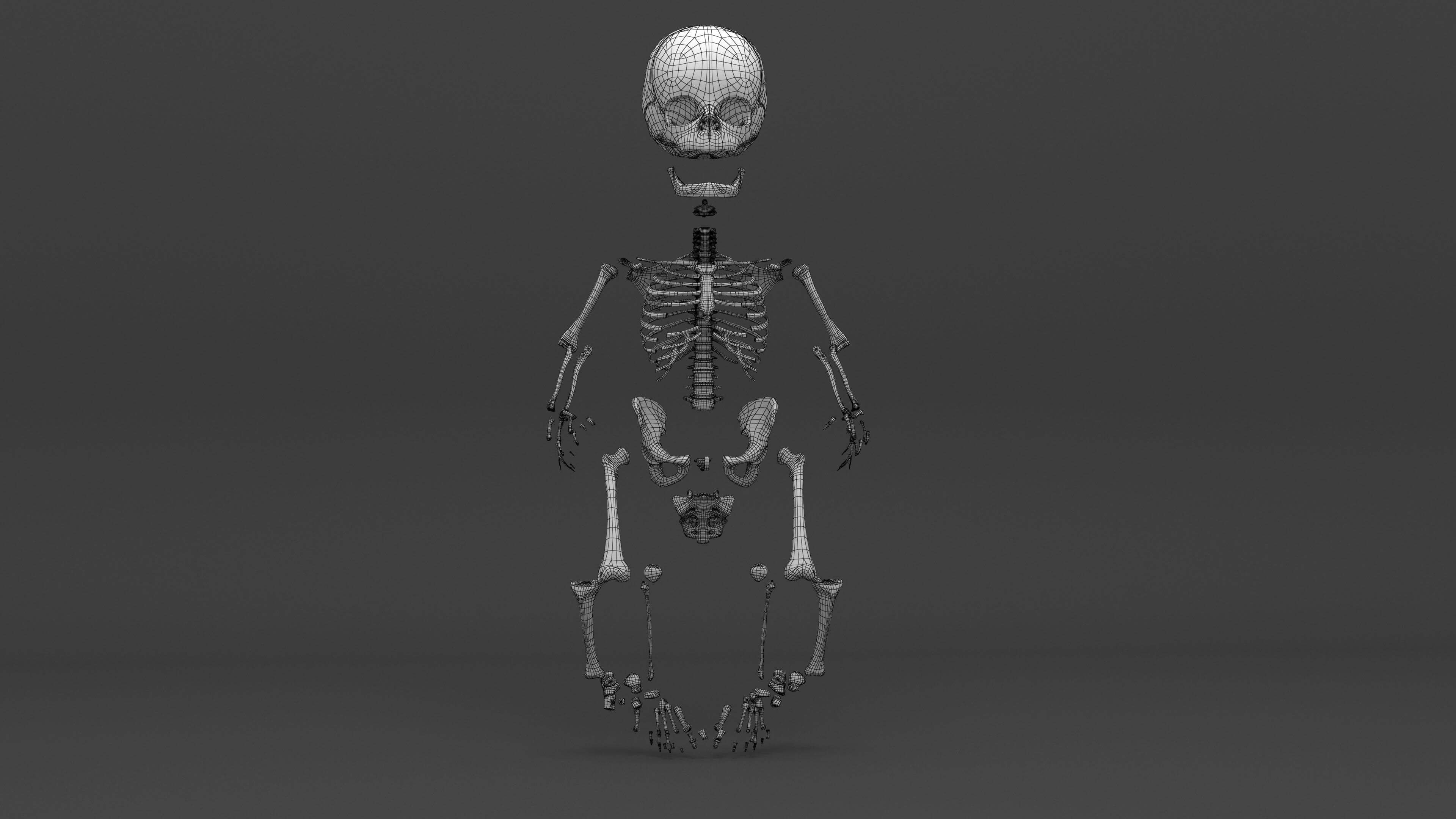 Infant 3D Model (Baby and Full Skeleton) by 3dcraft