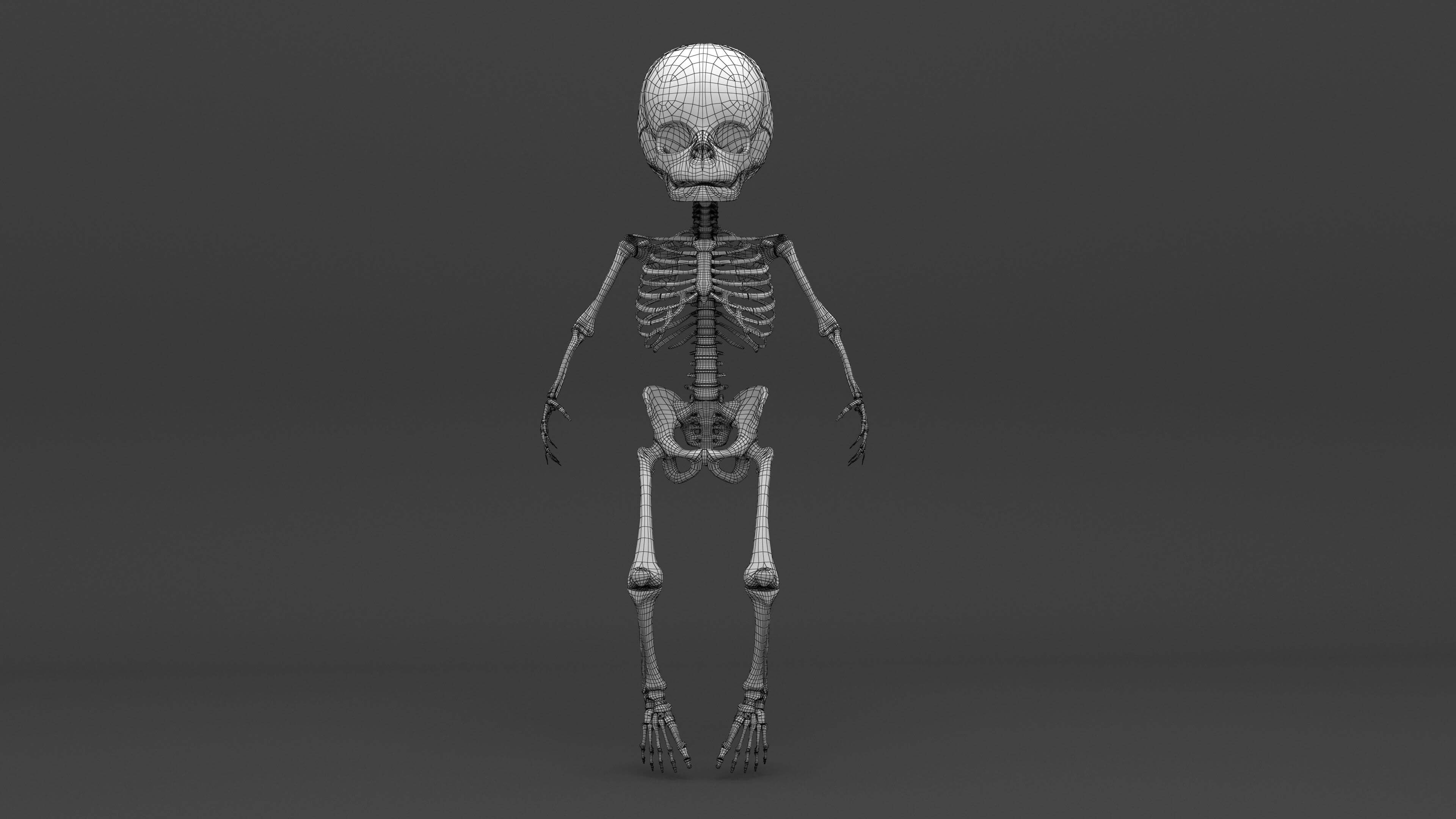 Infant 3D Model (Baby and Full Skeleton) by 3dcraft