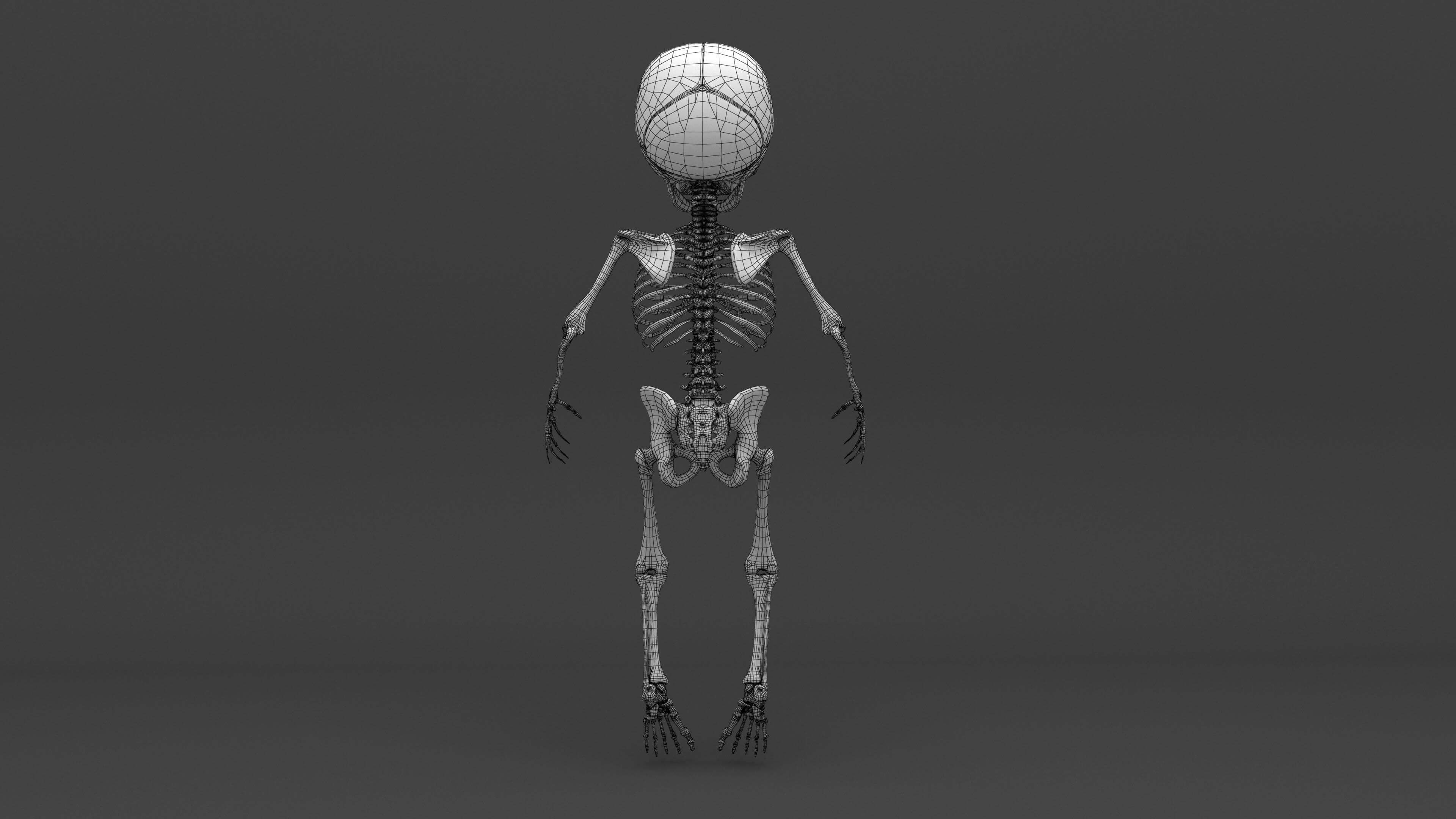 Infant 3D Model (Baby and Full Skeleton) by 3dcraft