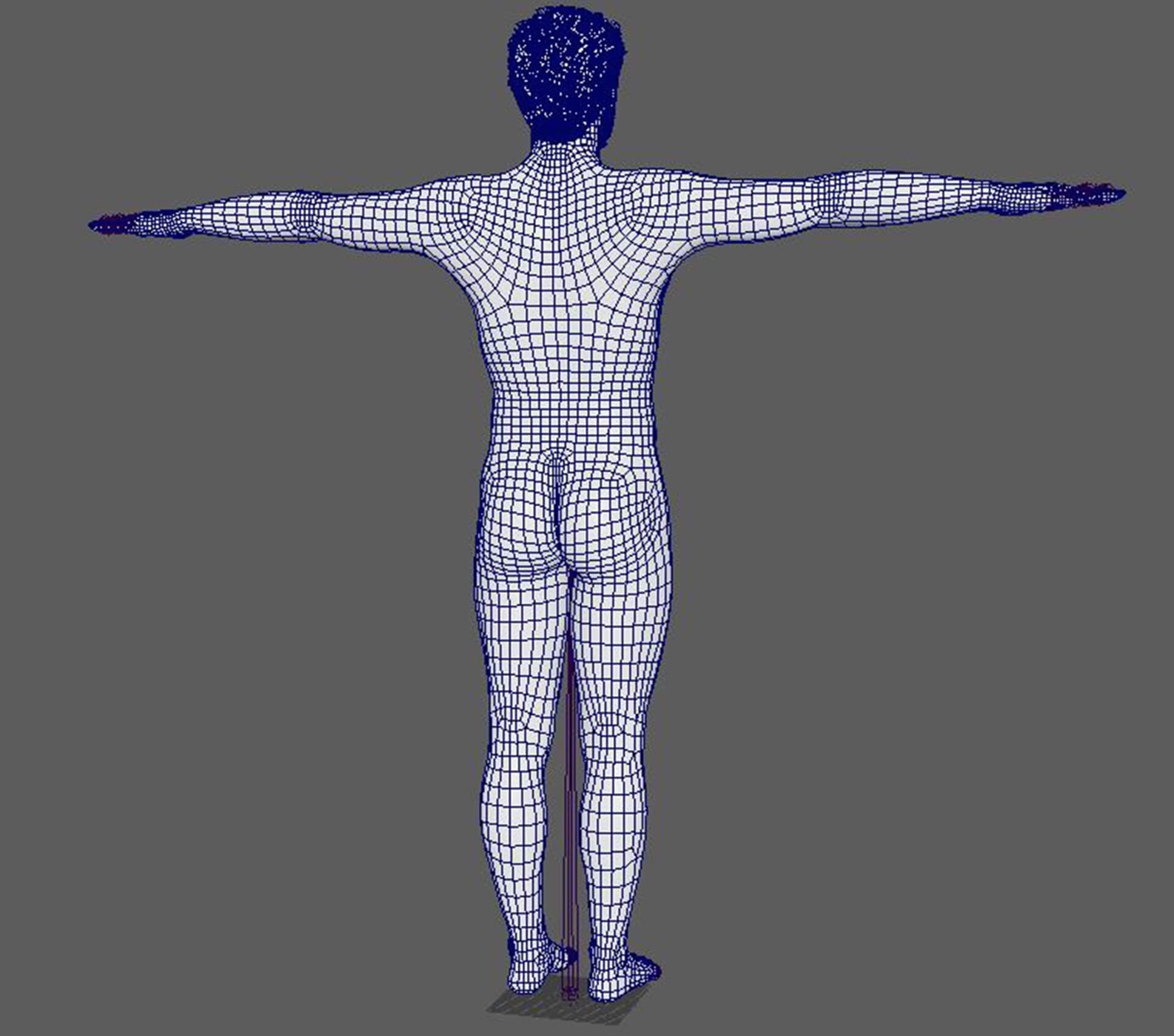 Leonardo DiCaprio 3D Model Low-poly by 3designer94