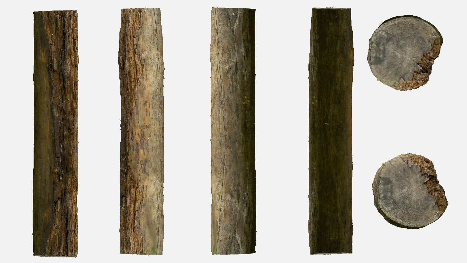 Rotten Tree Trunk (001224) - 3D Model by 3DFarm