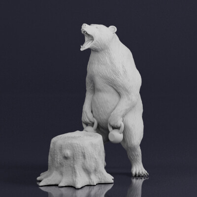 Game Ready Models | Animals | Bears | RenderHub