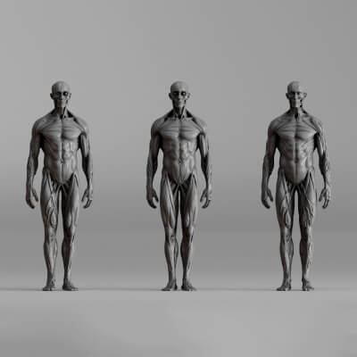 Print Ready 3D Models | Anatomy | RenderHub