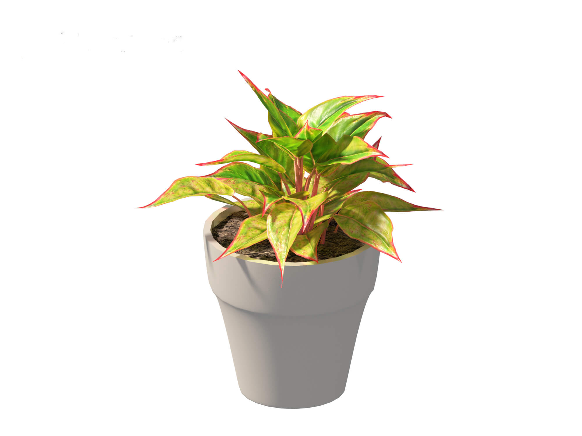 Aglaonema Crete - Chinese Evergreen 3D Model by 3dgardenplants