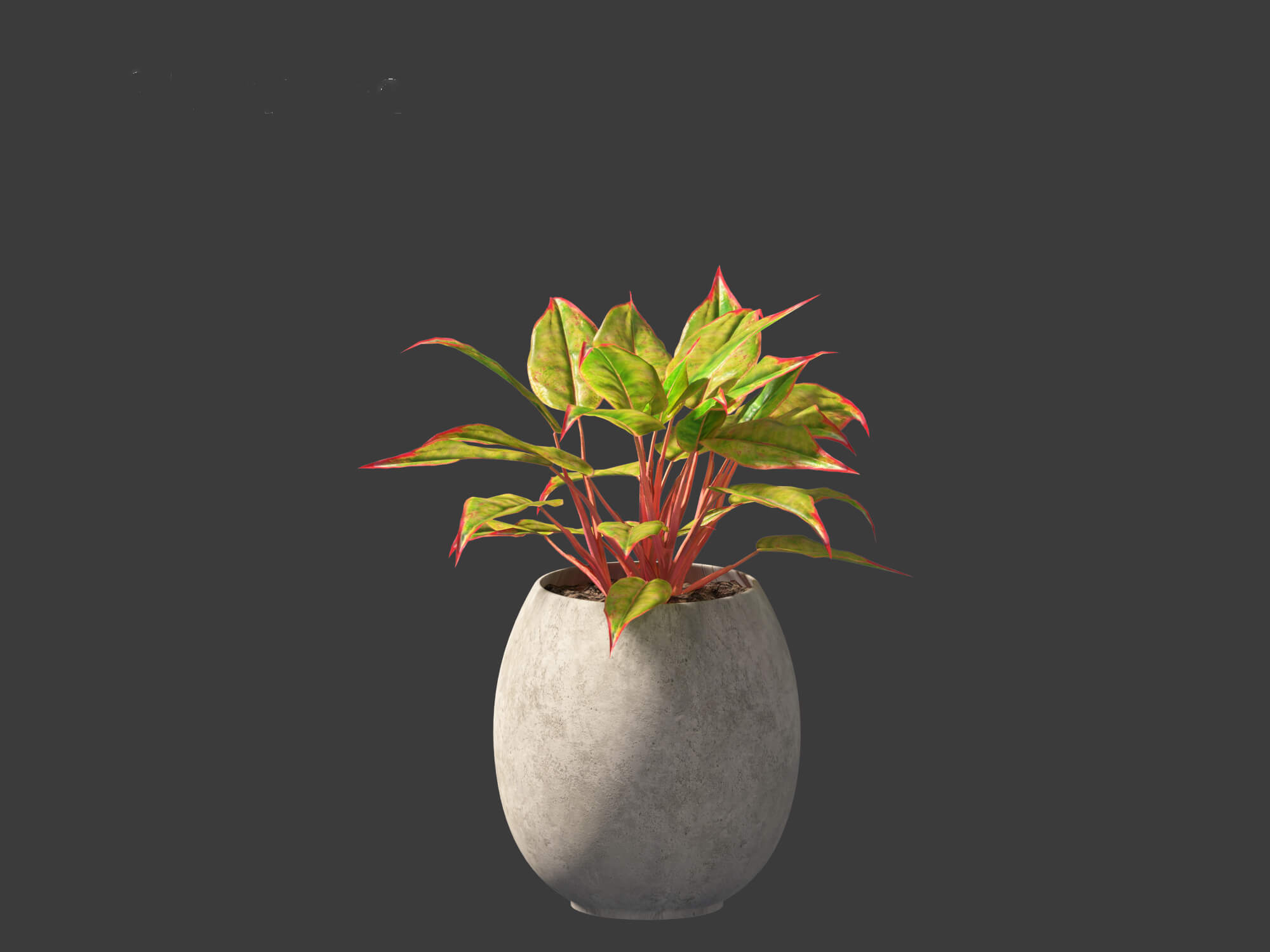 Aglaonema Crete - Chinese Evergreen 3D Model by 3dgardenplants