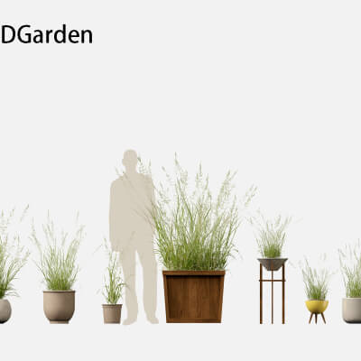 Other 3D Models | Plants | Grass | RenderHub