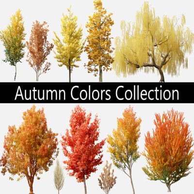 Autumn Colors Collection Pack 06 - 3D Model by 3dgardenplants