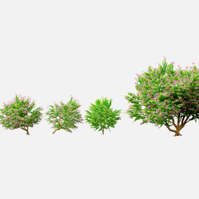 New 3D Models | Nature | RenderHub