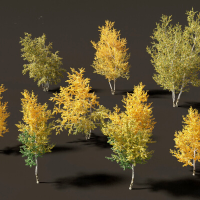 Blend 3D Models | Plants | Birch Trees | RenderHub