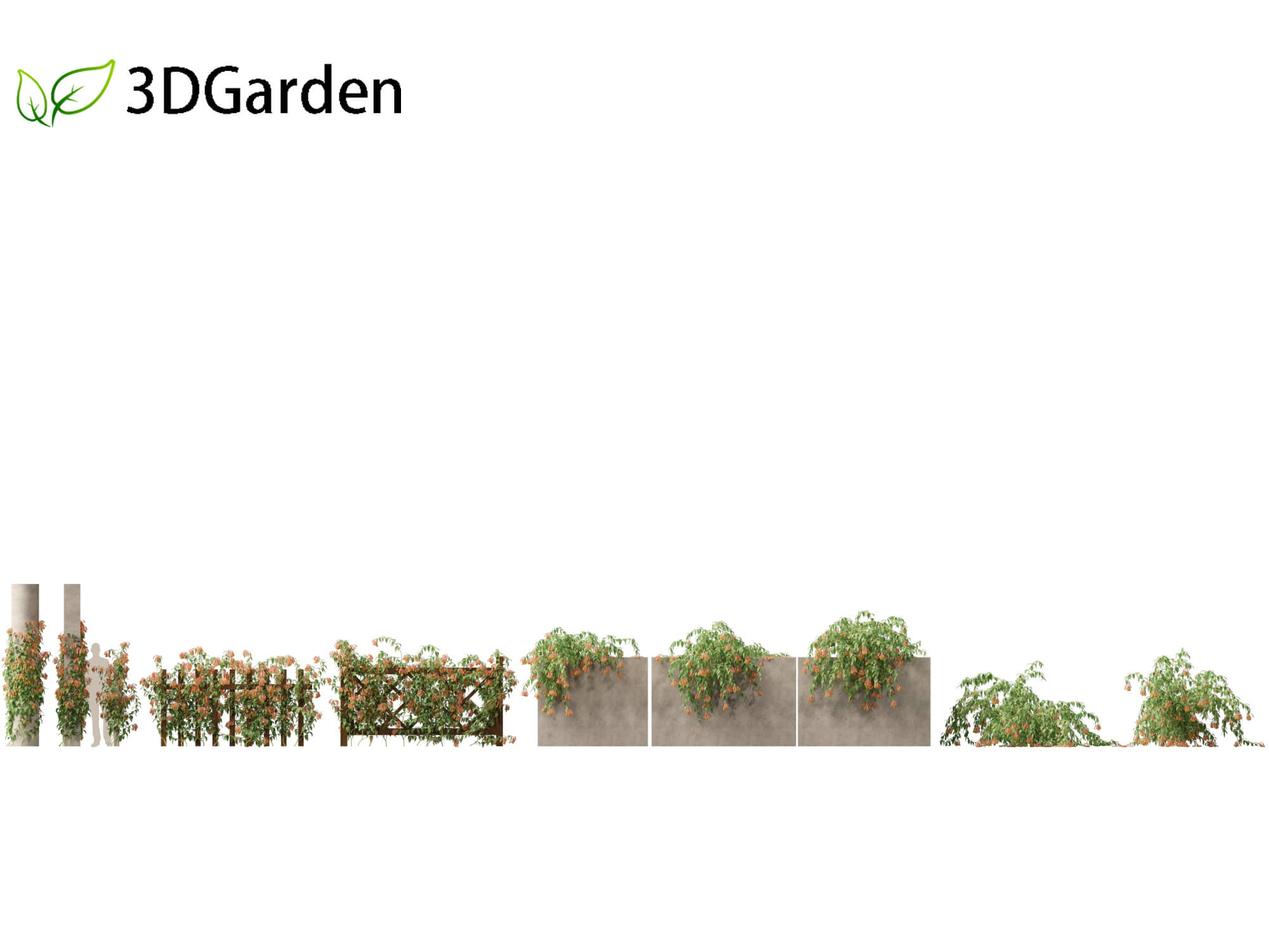 Bomarea Multiflora – Trailing Lily - 3D Model by 3dgardenplants