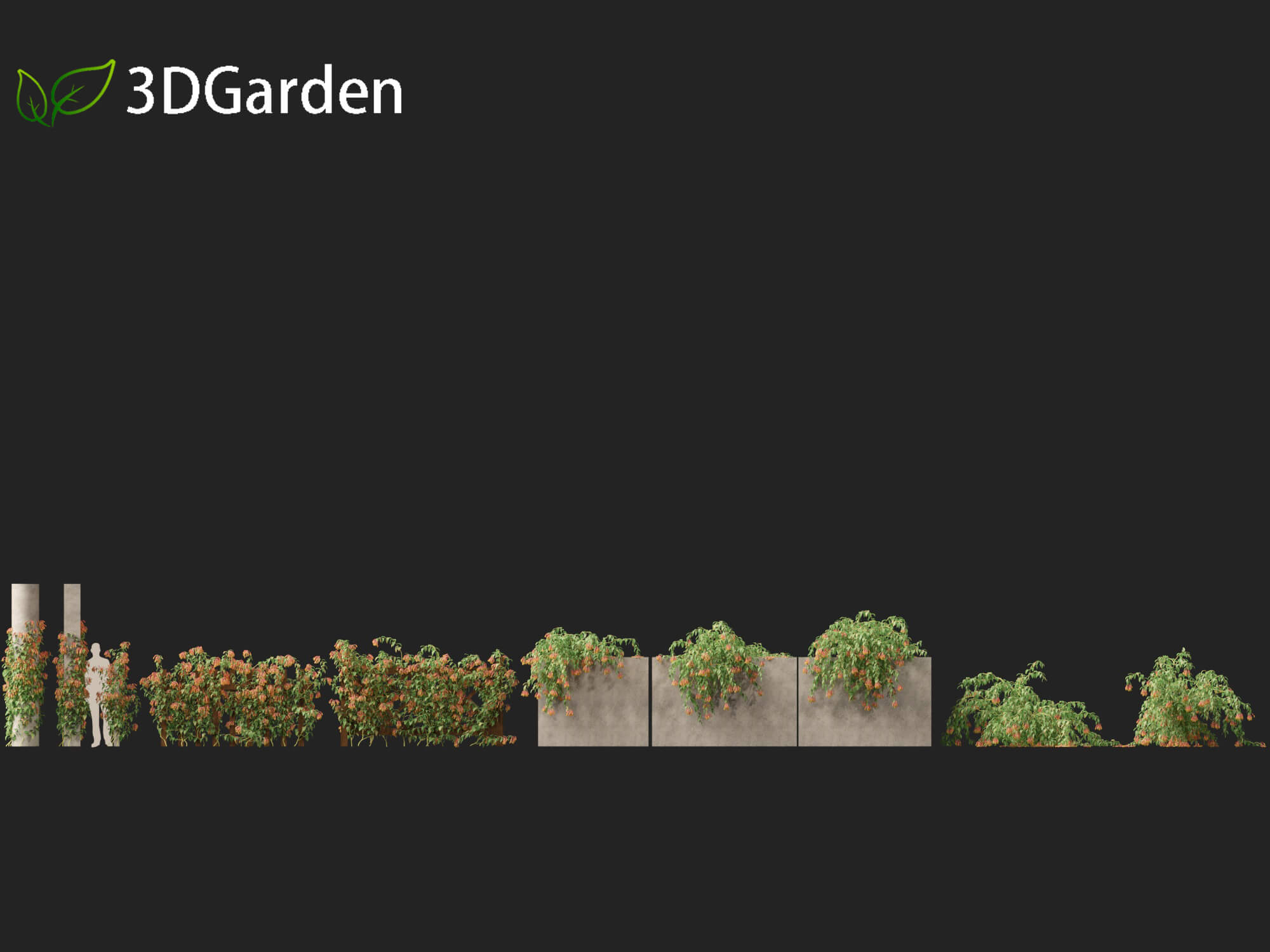 Bomarea Multiflora – Trailing Lily - 3D Model by 3dgardenplants