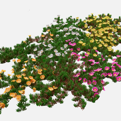 3D Models | Plants | Ground Cover | RenderHub