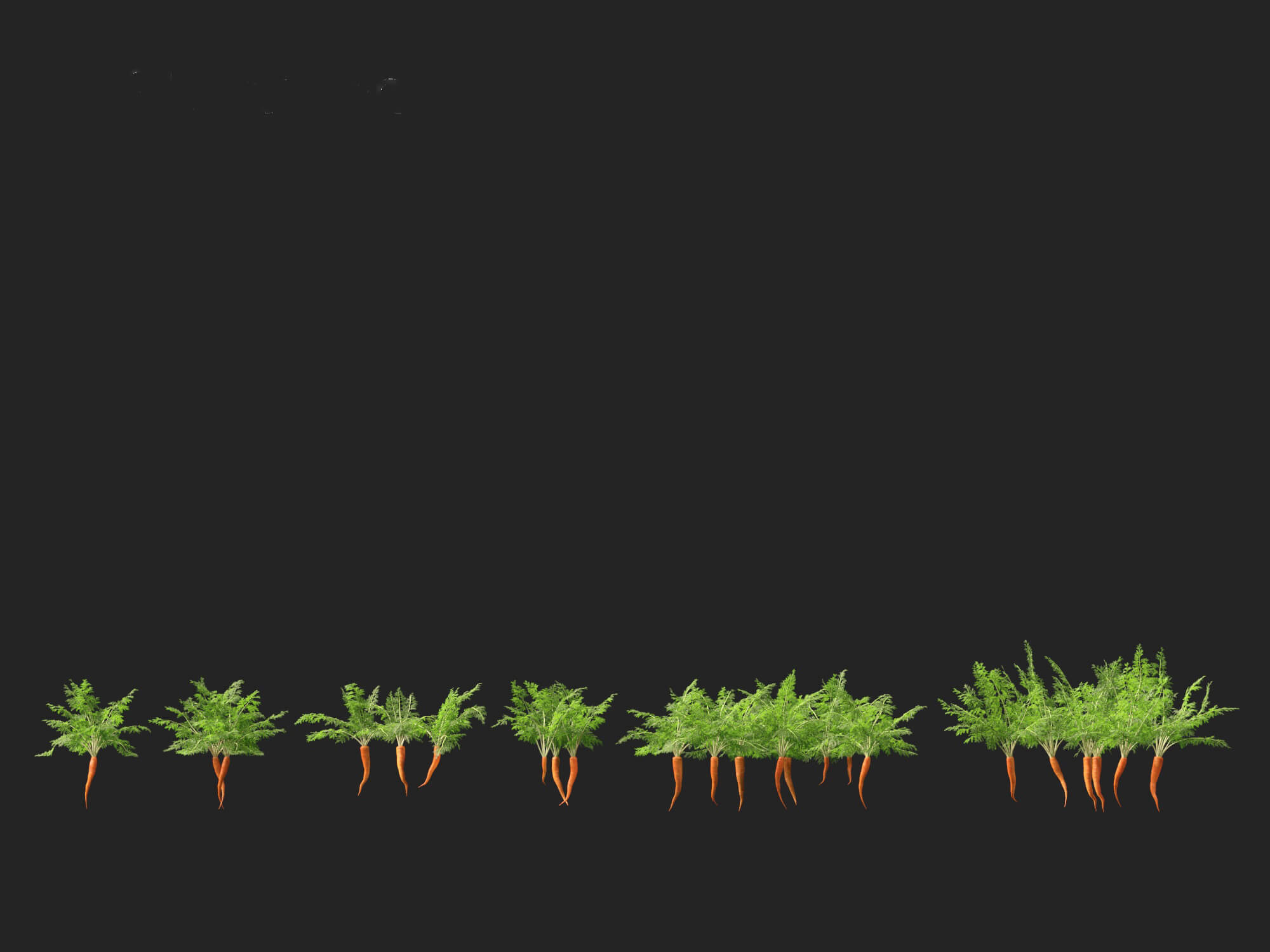 Carrot - Daucus Carota 3D Model by 3dgardenplants