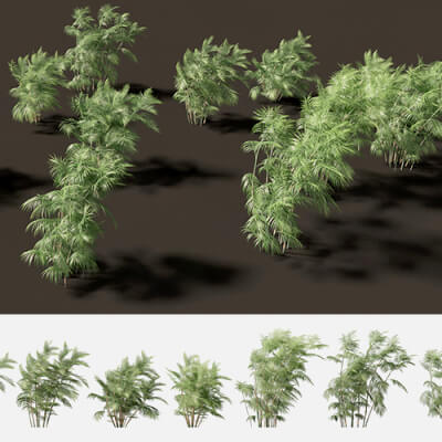 Blend 3D Models | Plants | Palm Trees | RenderHub