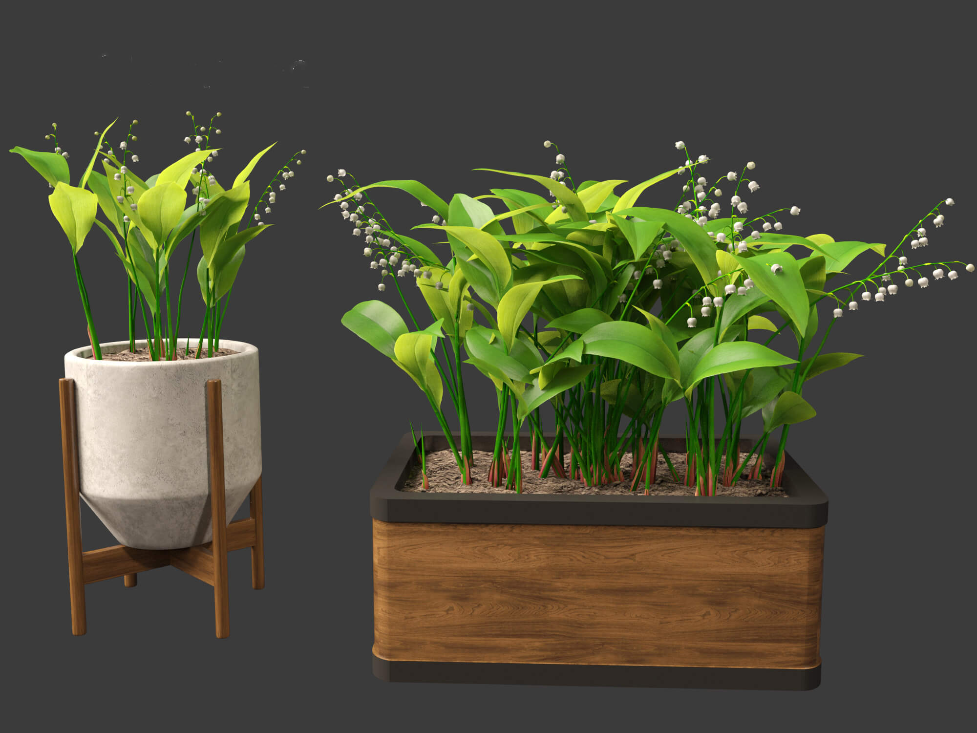 Convallaria Majalis - Lily-Of-The-Valley 02 3D Model by 3dgardenplants