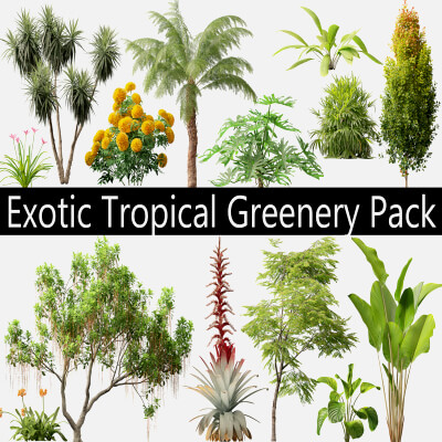 Exotic Tropical Greenery Pack 36 - 3D Model by 3dgardenplants