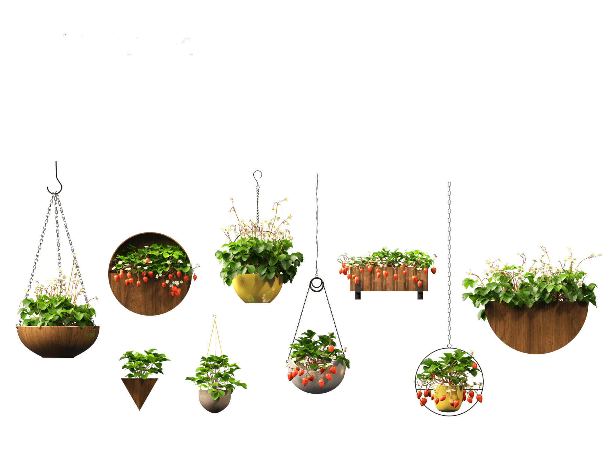 Fragaria - Woodland Strawberry 02 3D Model by 3dgardenplants