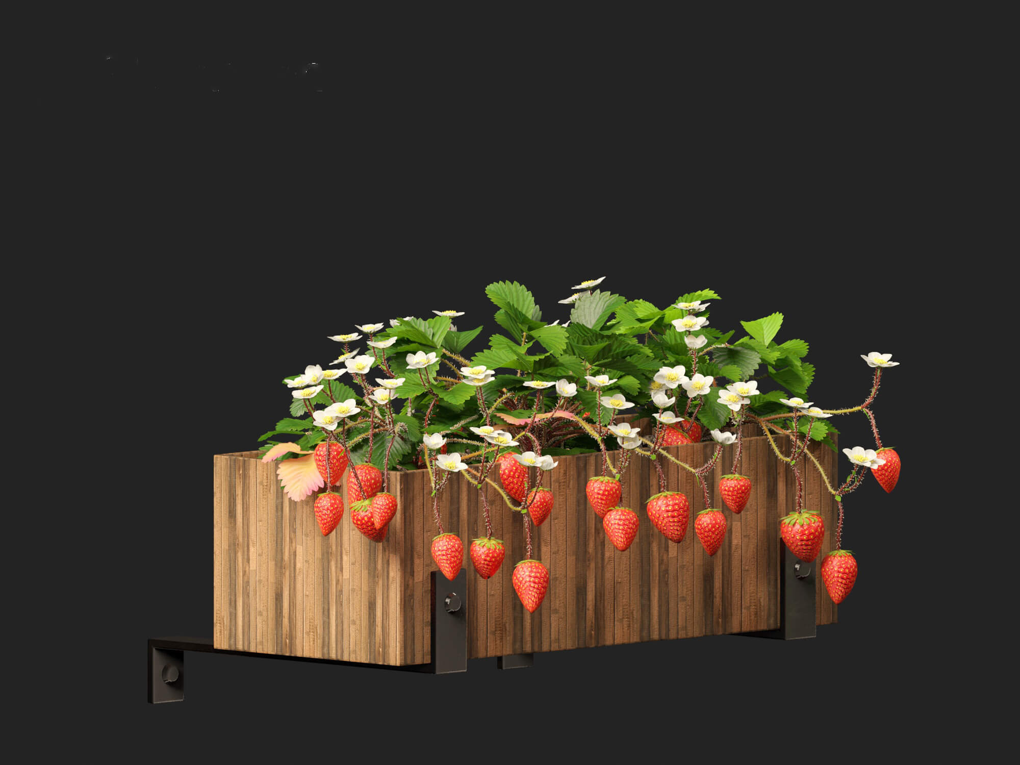 Fragaria - Woodland Strawberry 02 3D Model by 3dgardenplants