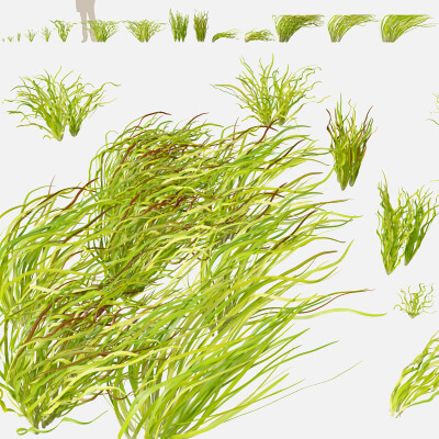 (Highpoly + Low Poly) Vallisneria Americana - Eelgrass 3D Model by ...