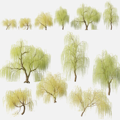 3D Models | Plants | Willow Trees | RenderHub