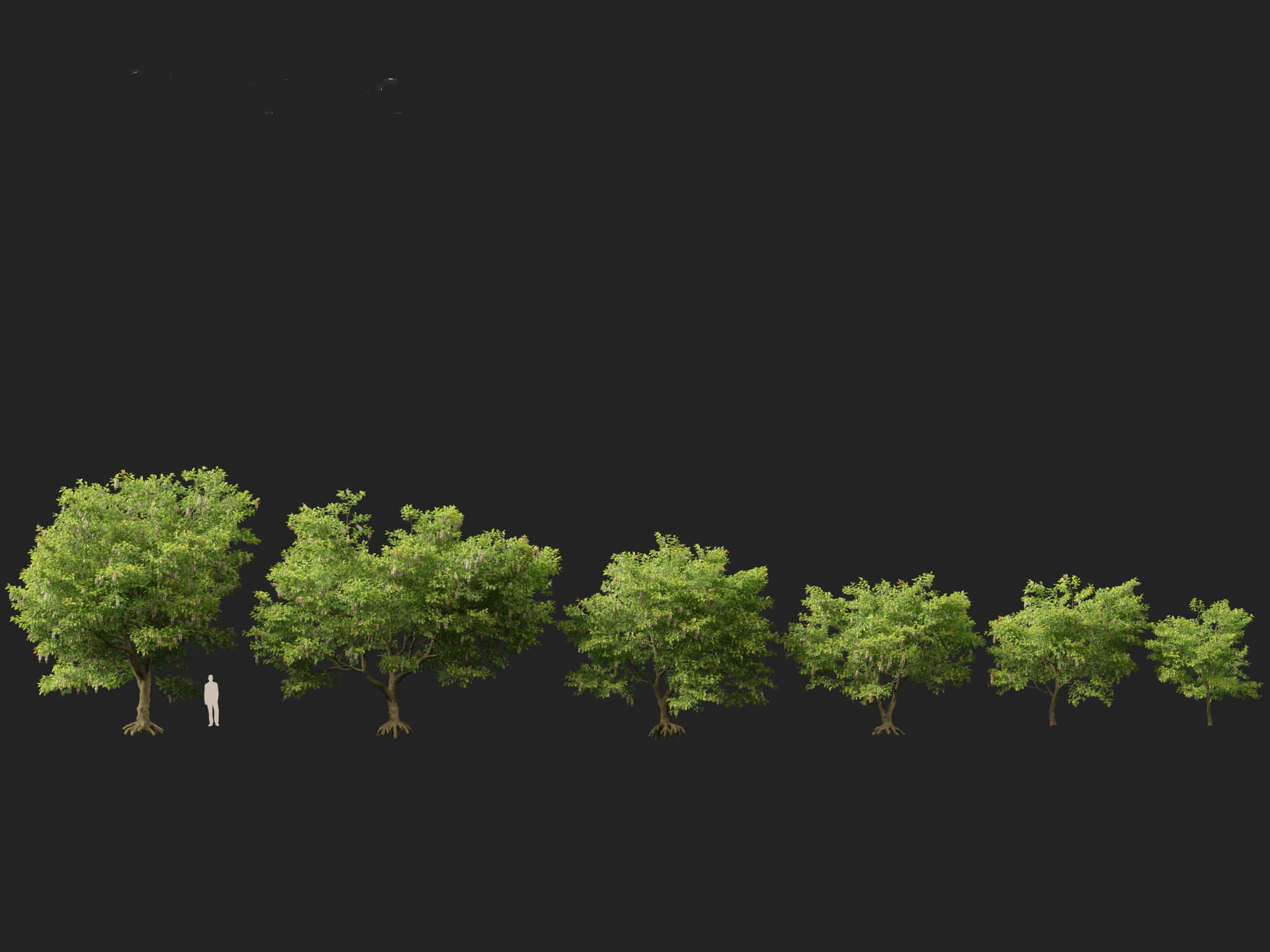 (Highpoly+Low Poly) Millettia Pinnata - Indian Beech 3D Mode by ...