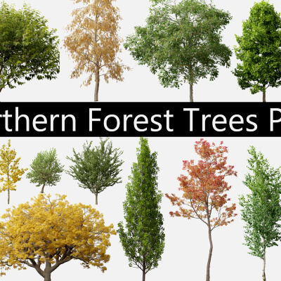 Northern Forest Trees Pack 19 - 3D Model by 3dgardenplants