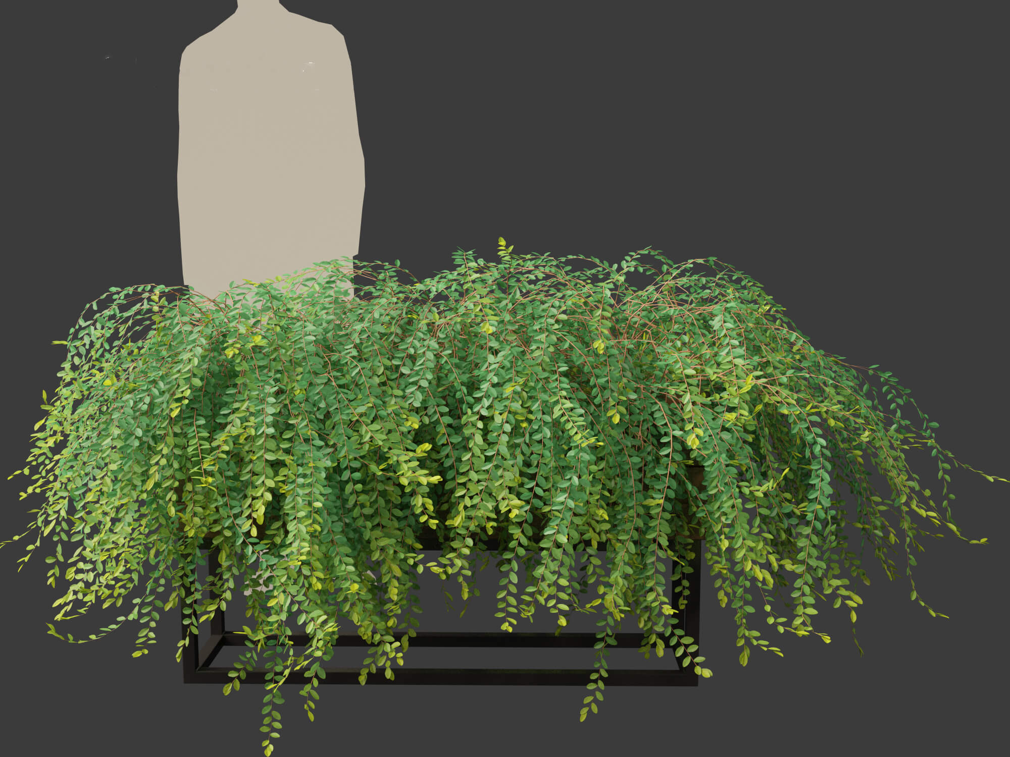 Phyllanthus Cochinchinensis - Vietnam Leaf-Flower 3D Model by ...