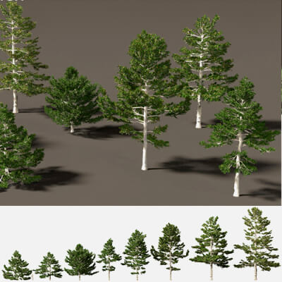 Max 3D Models | Plants | Pine Trees | RenderHub