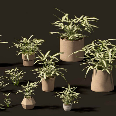 3D Models | Plants | Brakes | RenderHub