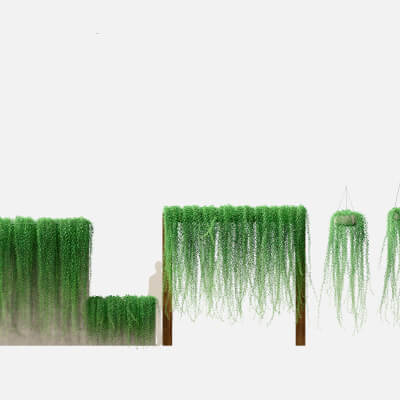 3D Models | Plants | Creepers | RenderHub