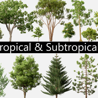 Tropical & Subtropical Trees Pack 46 - 3D Model by 3dgardenplants