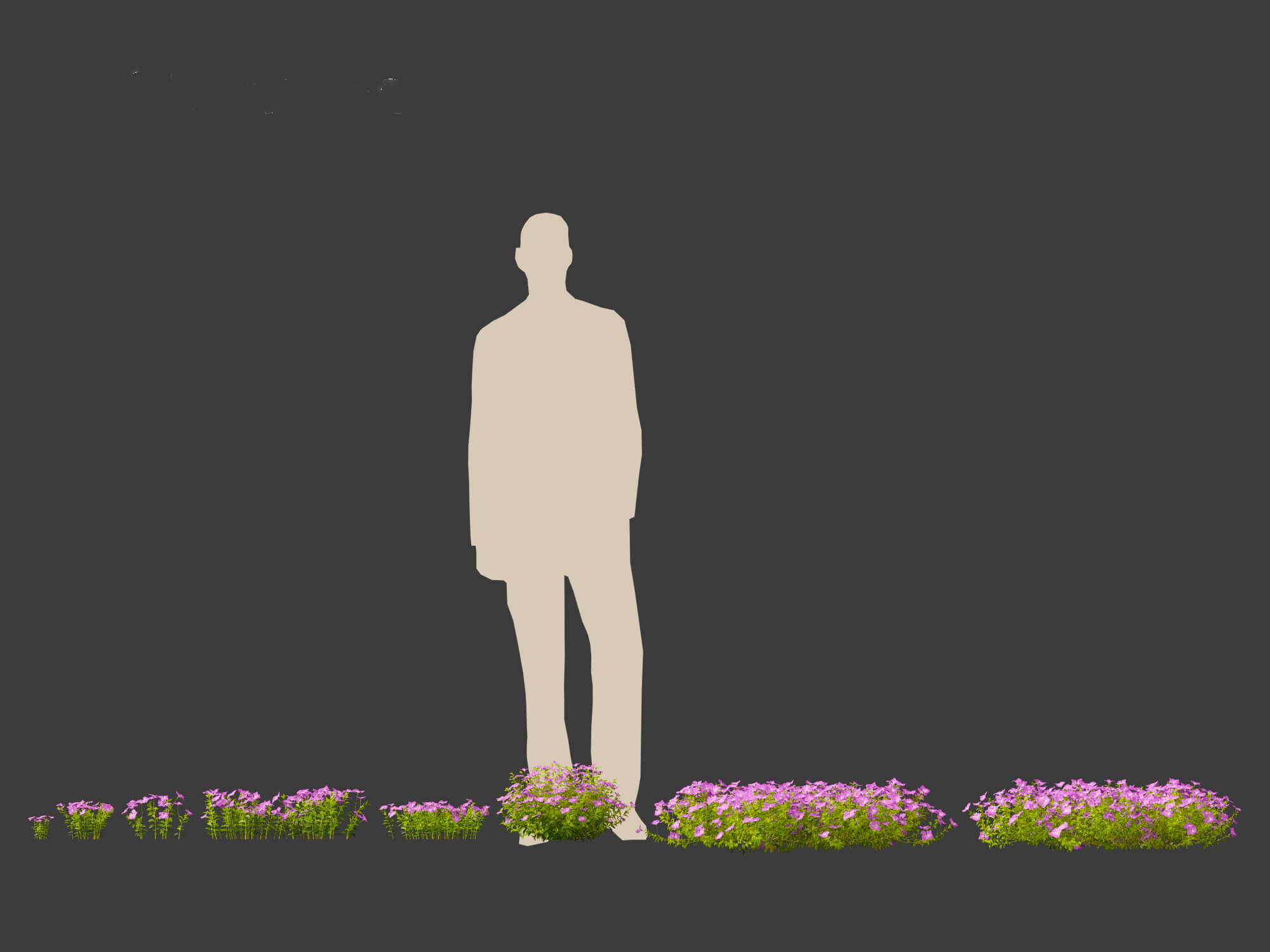 Vinca Minor - Common Periwinkle 3D Model by 3dgardenplants