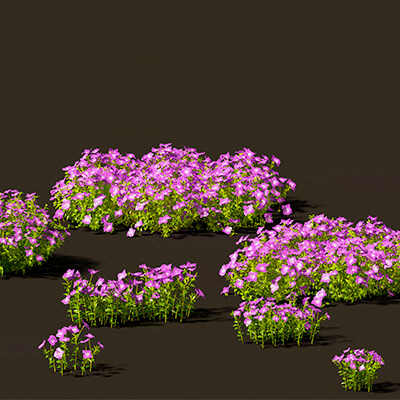 Vinca Minor - Common Periwinkle 3D Model by 3dgardenplants