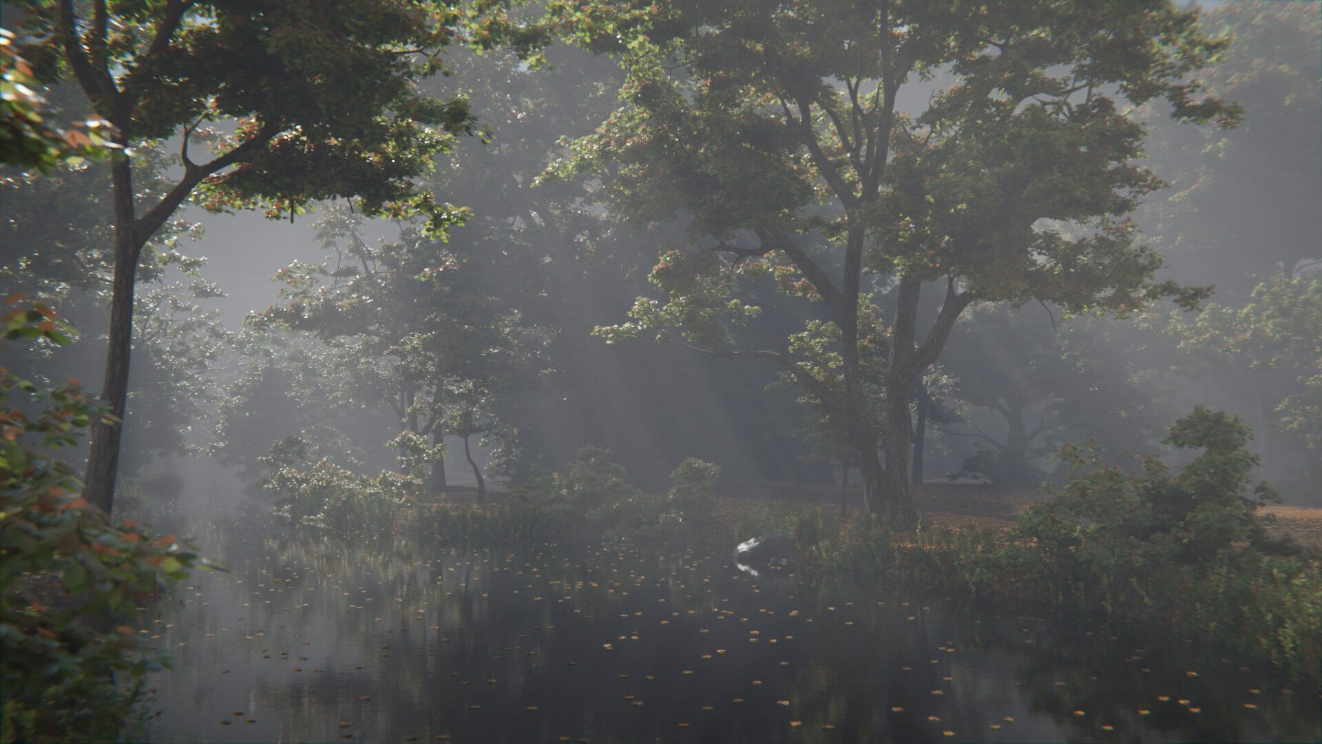 British Forest 3D Scene by 3DHappy