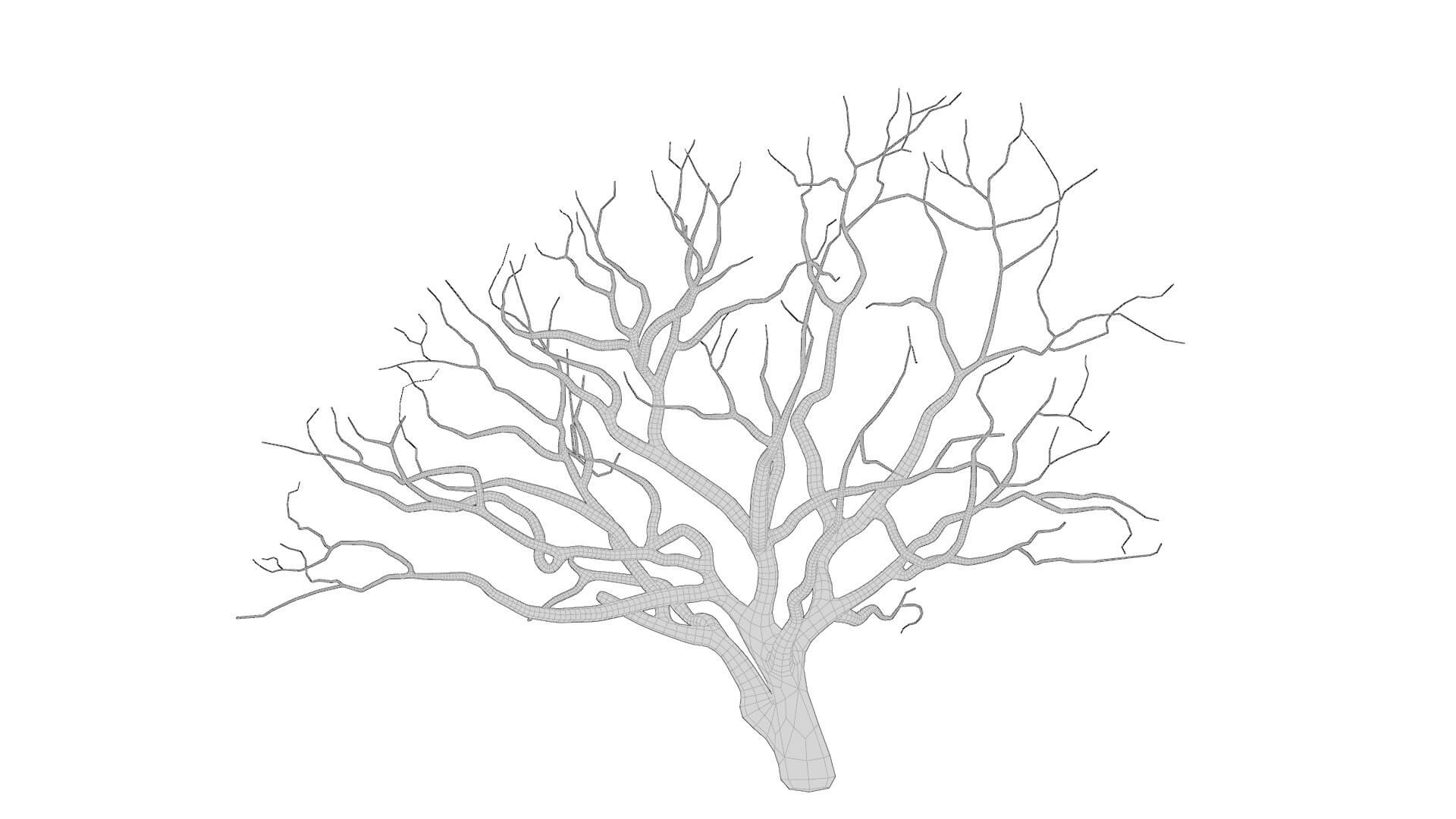 British Forest 3D Scene by 3DHappy