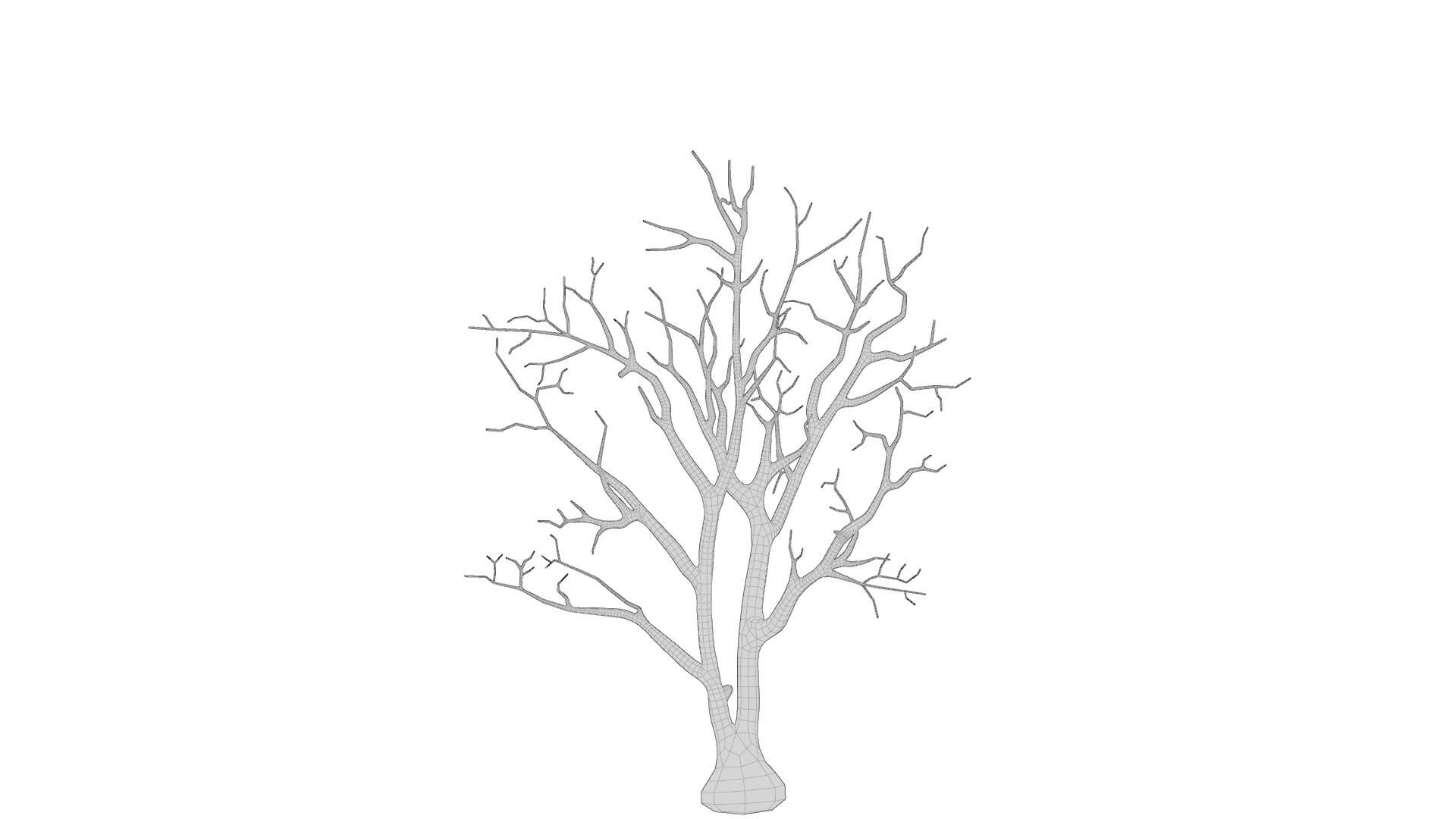 British Forest 3D Scene by 3DHappy