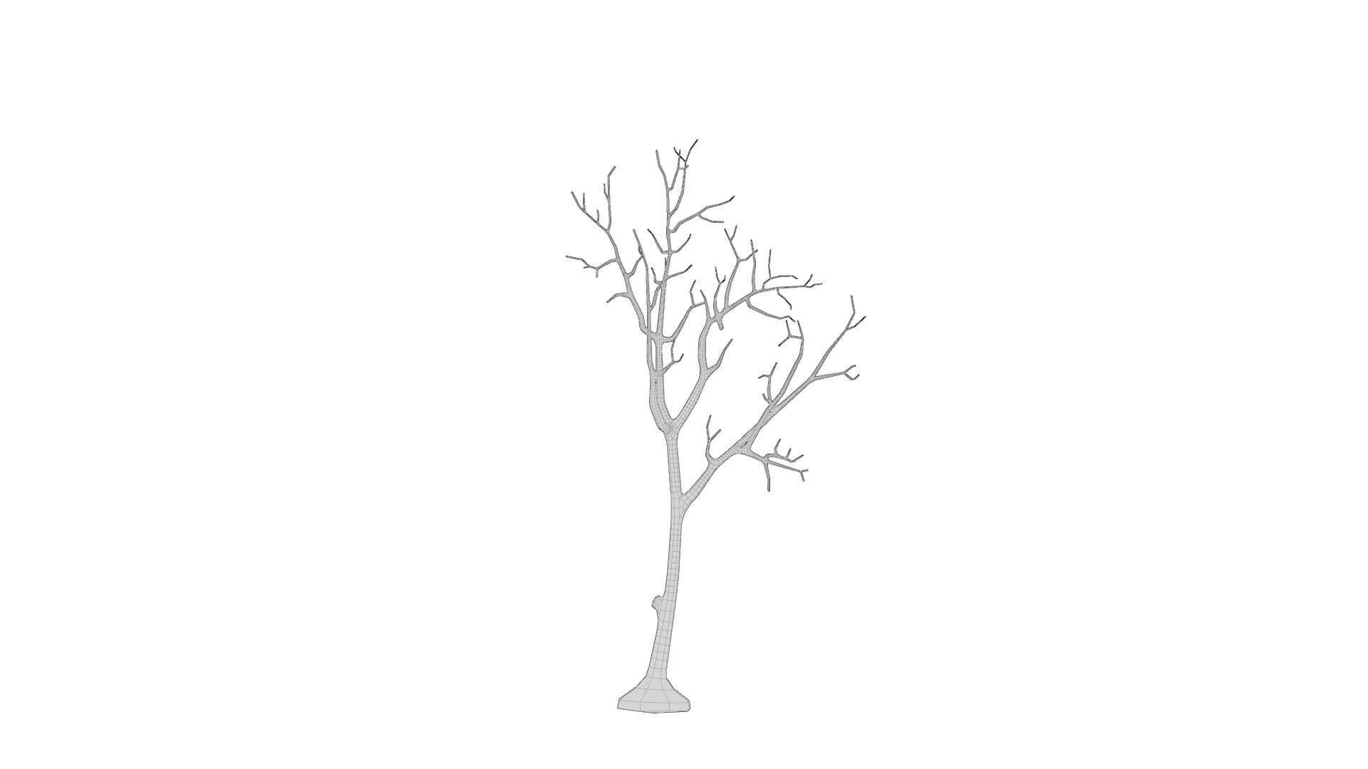 British Forest 3D Scene by 3DHappy