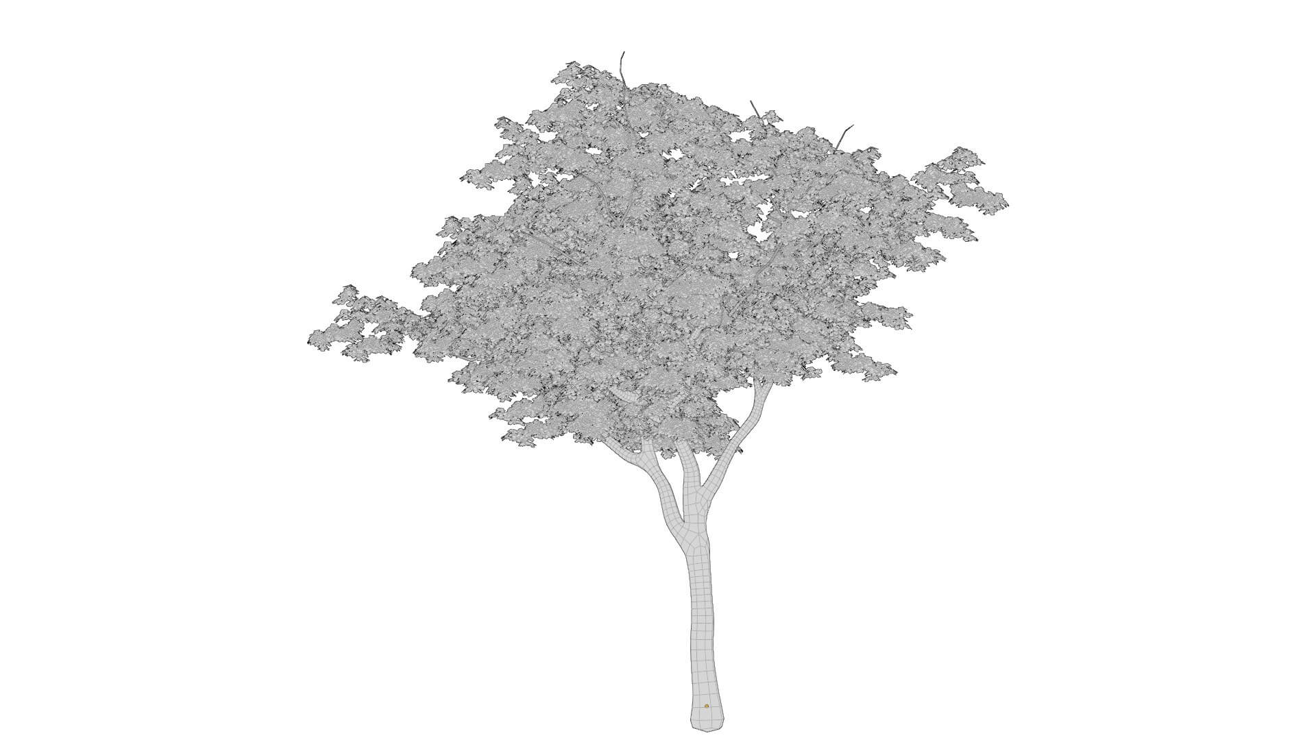 British Forest 3D Scene by 3DHappy