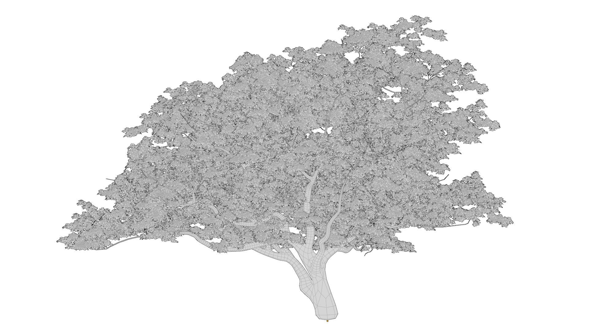 British Forest 3D Scene by 3DHappy