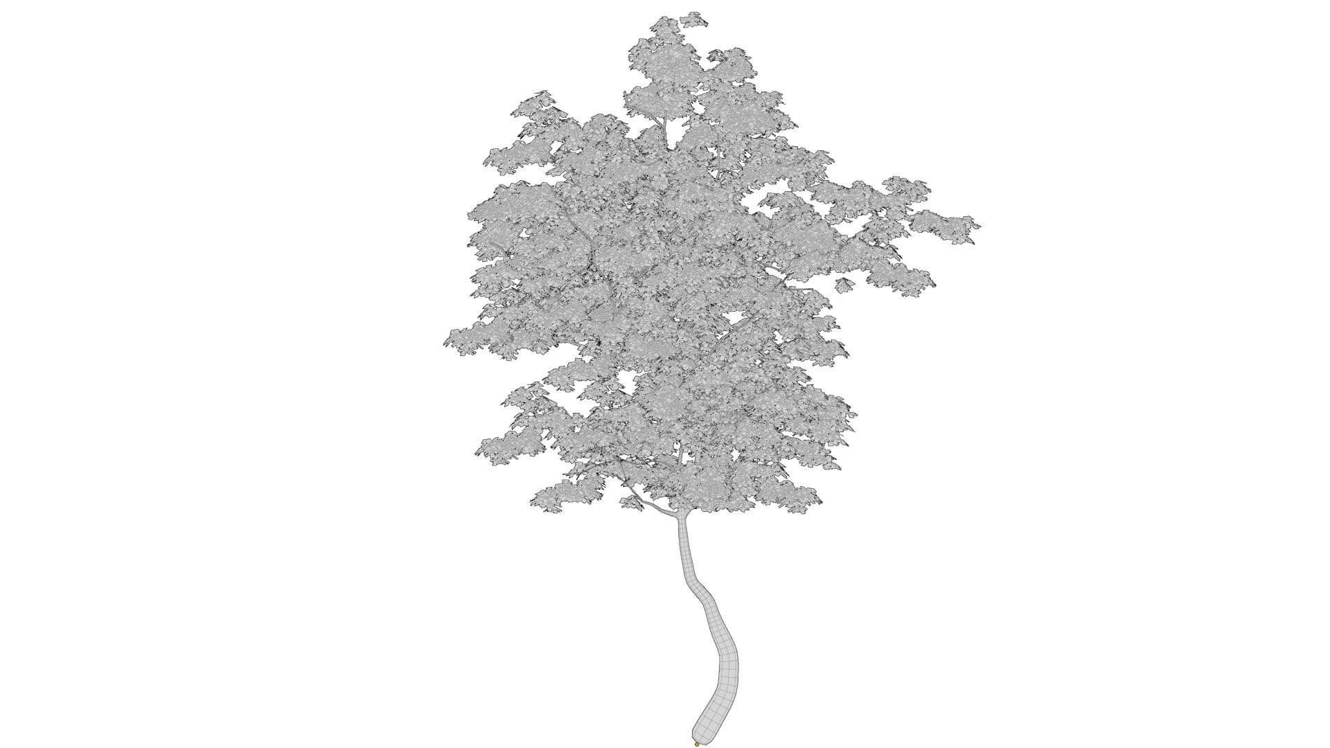 British Forest 3D Scene by 3DHappy