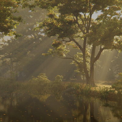 British Forest 3D Scene by 3DHappy