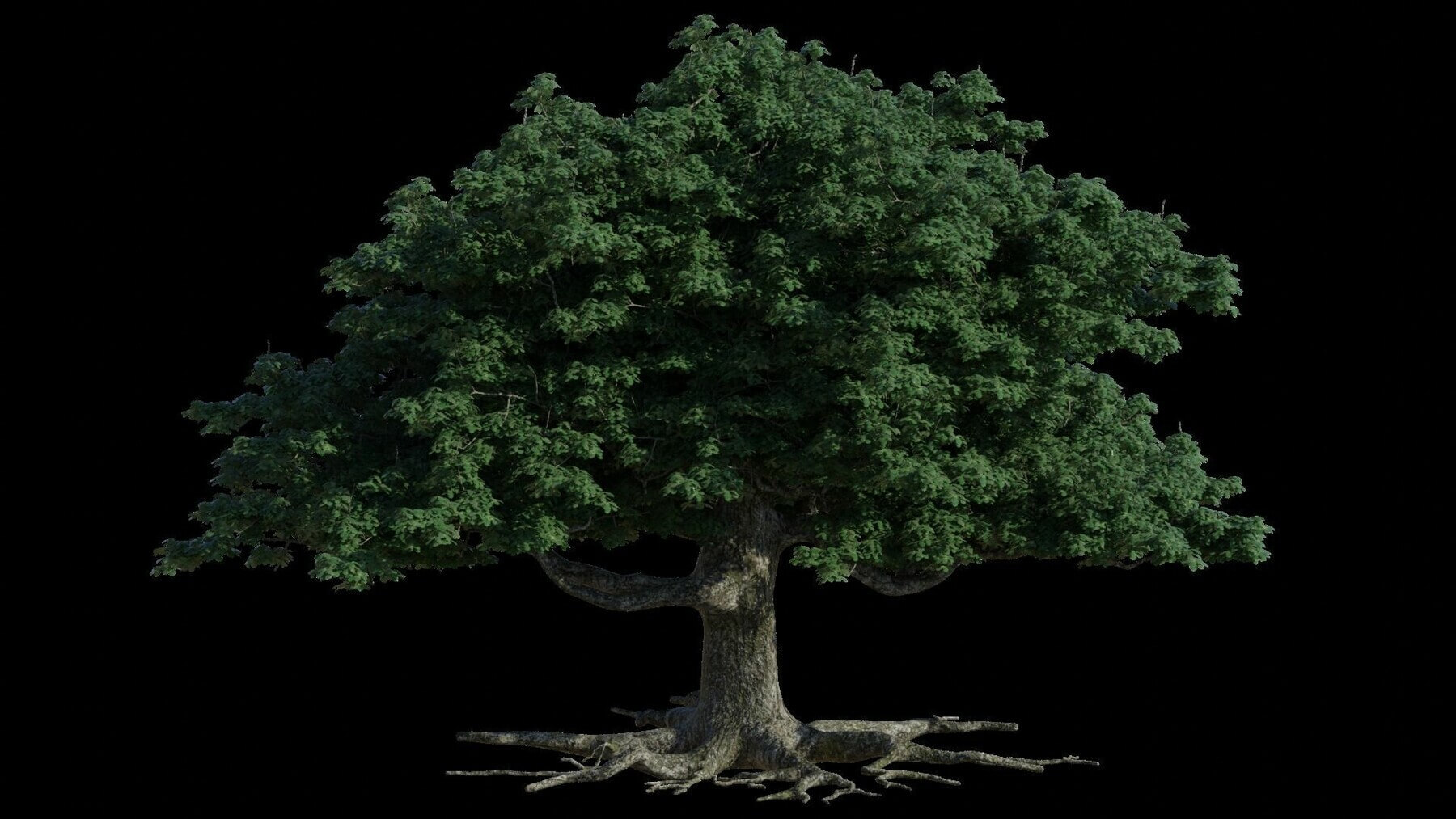 Oak Tree 3D Model by 3DHappy