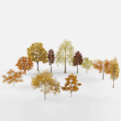 Collection Autumn Trees - 3D Model by 3DHEPECT