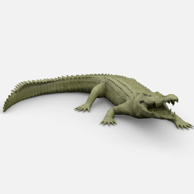 Crocodile - 3D Model by 3DHEPECT