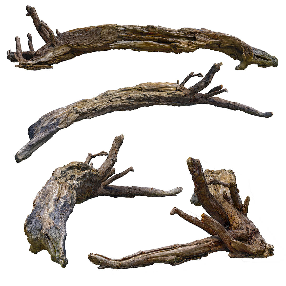 Old Log, Snag, Wood Trunk - 3D Model by 3Dimention