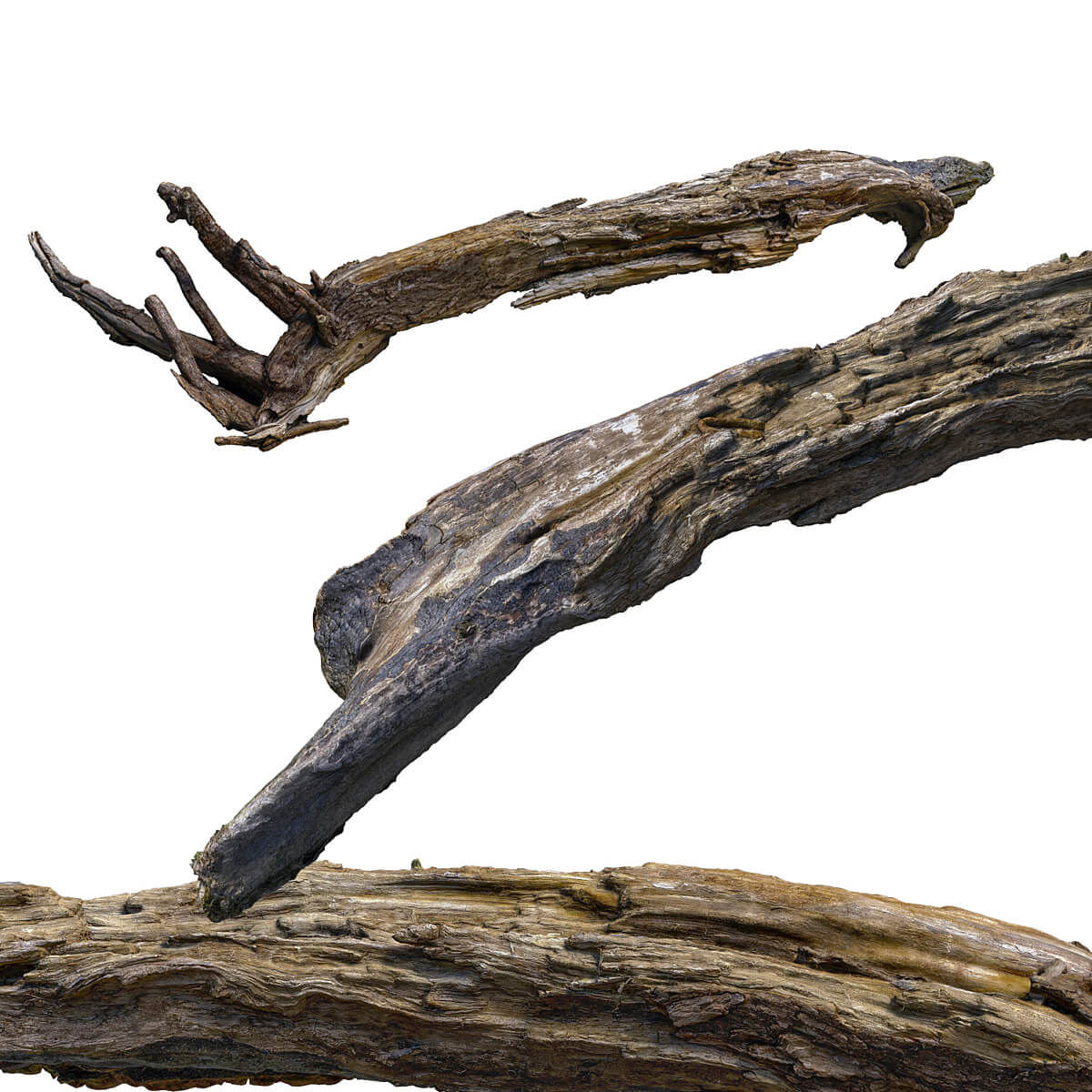 Old Log, Snag, Wood Trunk - 3D Model by 3Dimention